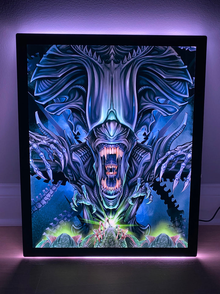 All Frames – Lit Frames